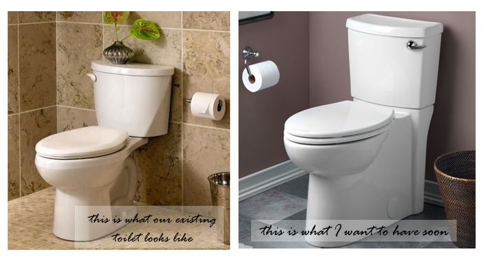 3 Tips to Sanitize the Toilet - Mommy Levy
