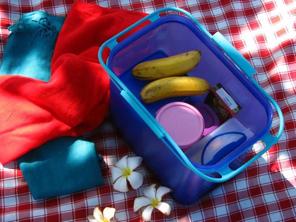 Tupperware Pak A Lot Review - Mommy Levy